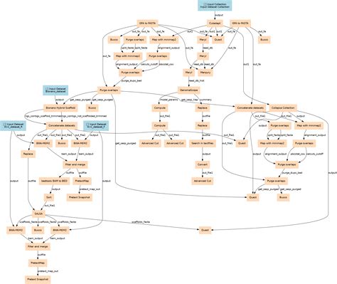 Vgp Assembly Training Workflow