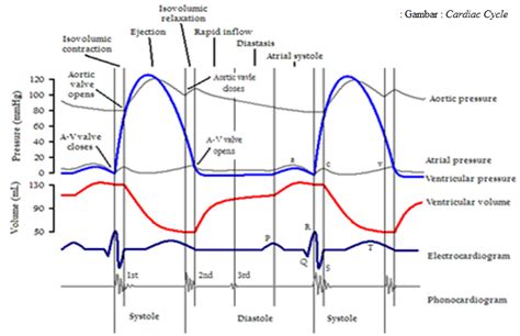 CARDIAC OUTPUT