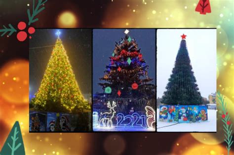 На Чернігівщині обрали найкращу новорічну ялинку Фото ЧЕline