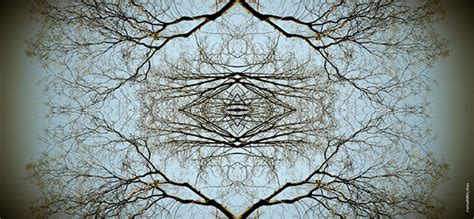 TREES SKY On Behance