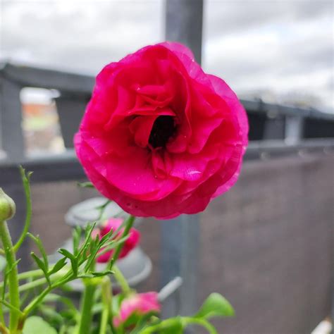 Stefanie Rauh Lehrkraft Witt Schulungszentrum Gmbh Xing