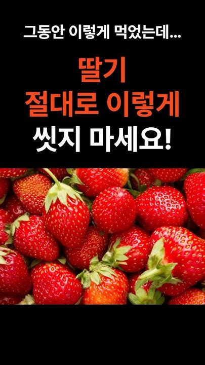 딸기 이렇게 씻지마세요 음식 건강 꿀팁정보 지식 건강정보 생활꿀팁 과일 과일씻는법 Youtube