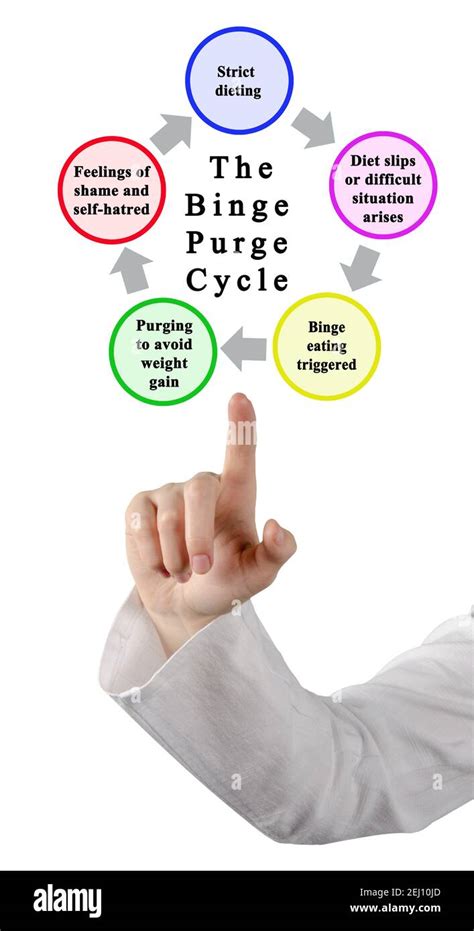 Stages Of Binge Purge Cycle Stock Photo Alamy