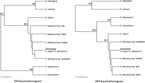 Upgma Hierarchical Clustering Consensus Phenograms Based On Nei 1972