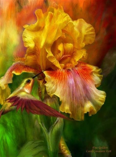El Arte Es Su Máxima Expresión Arte Flores Exóticas