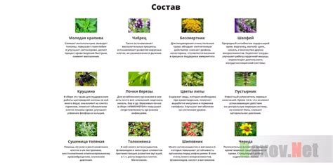 Трявяной чай Иммунотон фуфломицин с космическим ценником Обзор и Отзывы