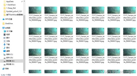 基于深度学习的高精度深海鱼检测识别系统（pytorch pyside6 yolov5模型） 基于深度学习的海洋鱼类识别 csdn博客