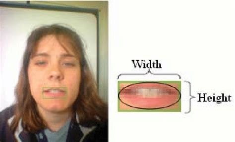 Lips Geometric Feature Extraction Width And Height Download Scientific Diagram