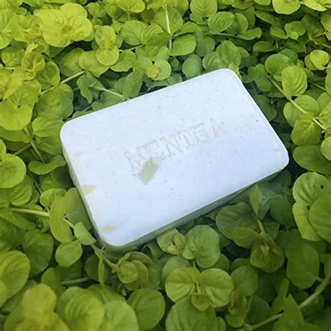 C O Bigelow Mentha Exfoliating Bar Soap No 1413 7 Oz Exfoliating