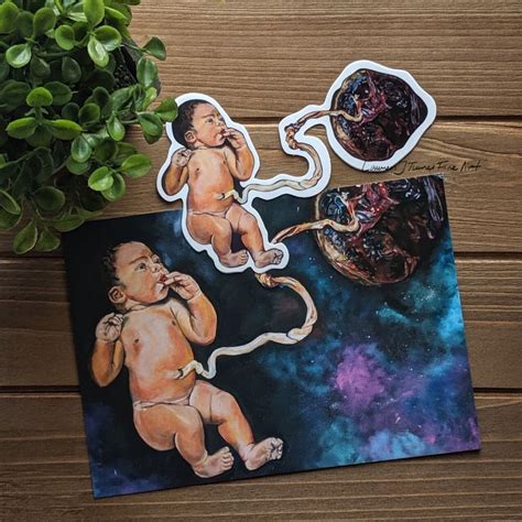 Birth Art Placenta Placenta Art Lotus Birth Birth Art Art