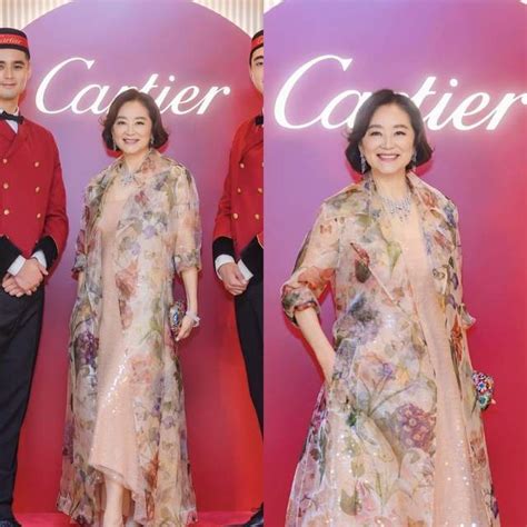 珠宝晚宴林青霞优雅莫文蔚松弛何超莲何超琼亲密牵手杨紫琼 搜狐大视野 搜狐新闻