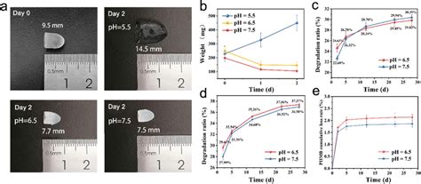 In Vitro Degradation Properties Of Cs Peg Hydrogel And Cs Peg Phmb Download Scientific Diagram