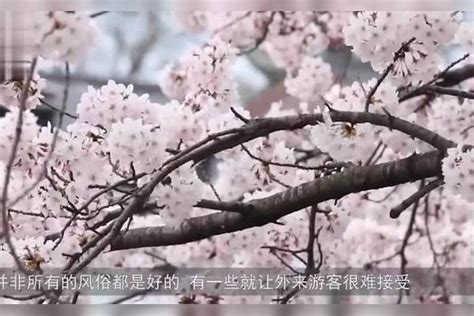 日本温泉禁止穿衣服，那么在公共浴室里，女性该怎么办？浴室温泉女性