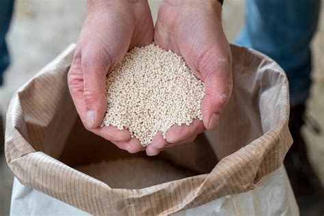 Feed Additives Evolve The Rise Of Bioutility And Targeted Nutrition