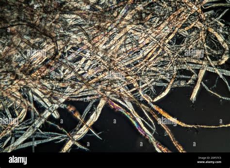 What Does Paper Look Like Under A Microscope At Lawrence Melson Blog