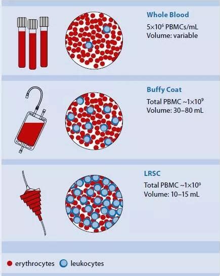 30分钟搞定！一步法从全血样本中分离目的细胞