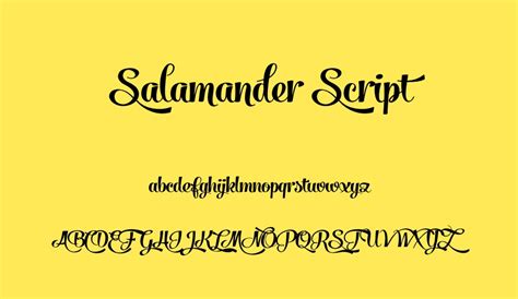 Salamander Script Font Font Tr