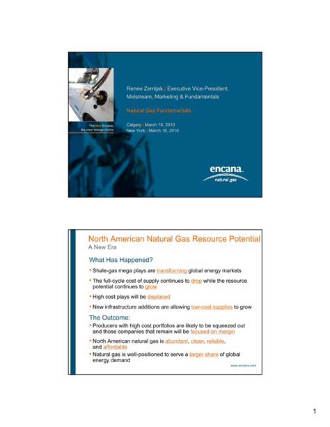 Pdf Natural Gas Fundamentals Pdf Dokumen Tips