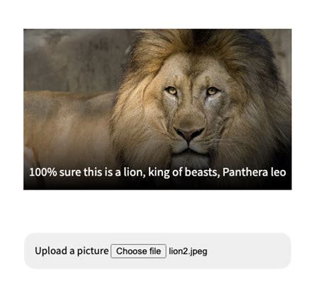 GitHub RoshanRv Image Classification Developed A Website Which Can