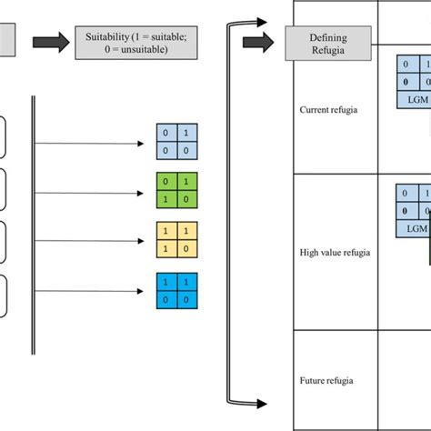 Framework Of Our Methodology Describing How Species Distribution