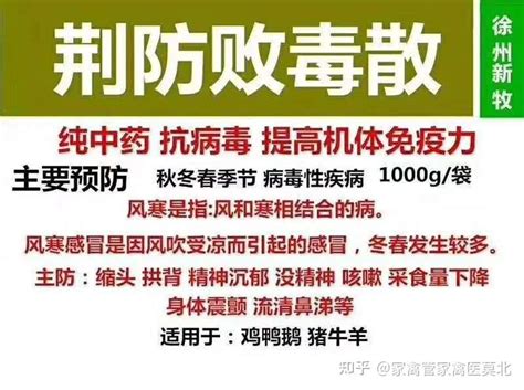 小鸭子感冒流鼻涕怎么办 知乎