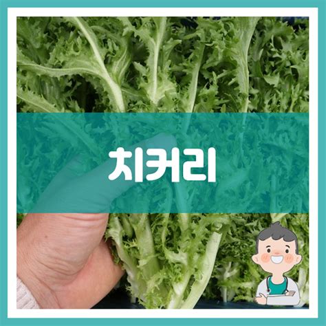 글루타치온 효능 부작용 하루 권장 섭취량