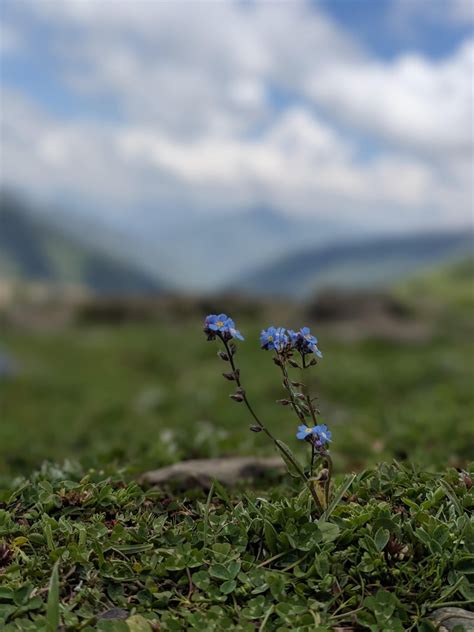 Razdan Pass 3024 X 4032 Oc Rearthporn