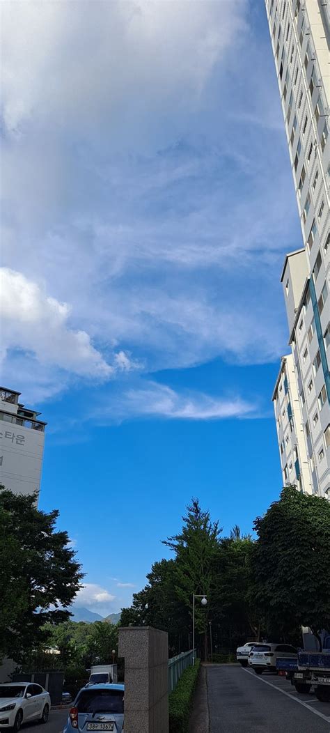 Pin De 성숙 김 Em ️폰 으로찍은 사진