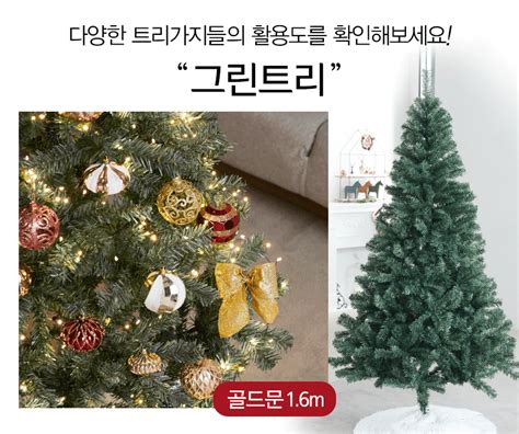 아웃팅 크리스마스 트리