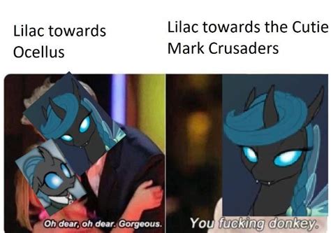 Ocellus Is In The Mod And Shes Positively Adorable Requestriaatwar