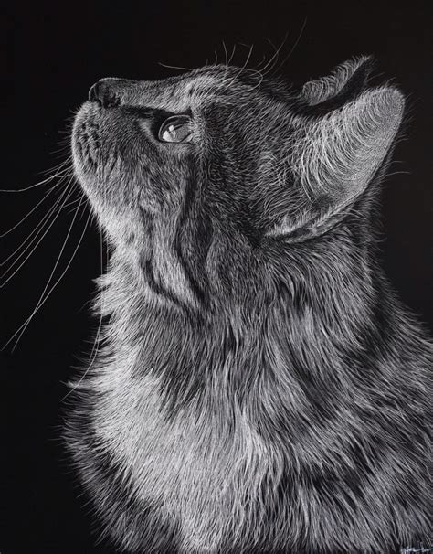 Scratchboard Art Artofit