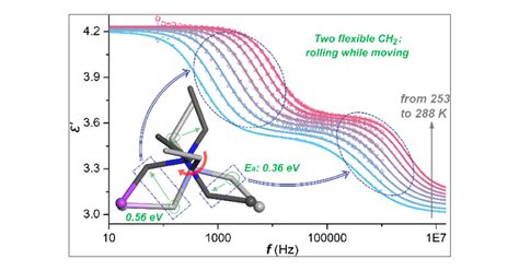 Insights Into The Molecular Dynamics Of Quasi Spherical Chloromethyl Triethylammonium Confined