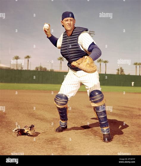 Chicago Cubs Moe Thacker 22 Portrait From His 1960 Season Moe