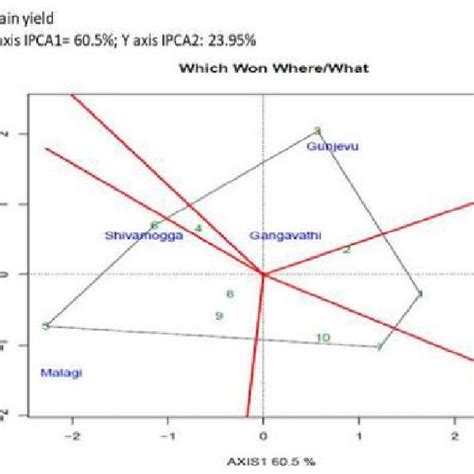 Polygon View Of Gge Bi Plot Based On The Symmetrical Scalling For