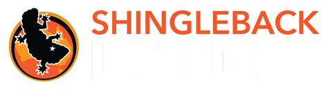 Lite Instructions Shingleback Off Road