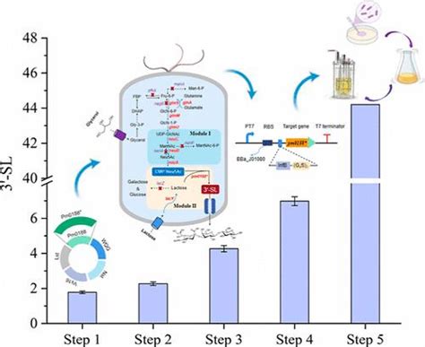 Journal Of Agricultural And Food Chemistry X Mol