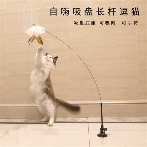 猫咪玩具自嗨解闷吸盘逗猫棒弹力钢丝羽毛带铃铛替换头伸缩小飞虫虎窝淘