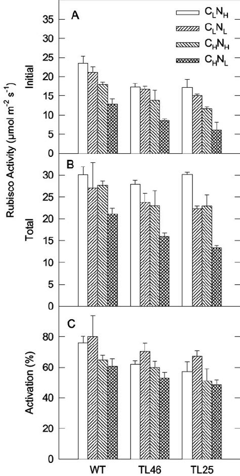 Initial And Total Extractable Activity Of Rubisco And Per Centage Of