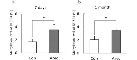 Methylation Of Promoter Region In Cpg Island Of Dusp4 Genes In Hgeps