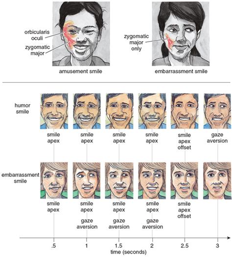 Embarrassed Expression