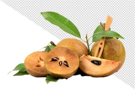 멜론 머스크멜론 Png 이미지 프리미엄 Psd 파일