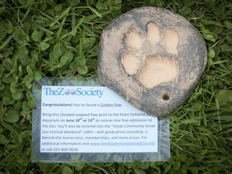 Keep Your Eyes Open For Ceramic Leopard Paws Hidden Around Tacoma Parks Public Places Tacoma