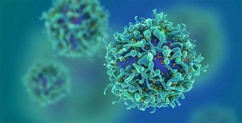Nature系列综述：mrna在癌症治疗中的靶向策略与未来方向腾讯新闻