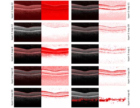 Fig A 8 Demonstration Of Feature Maps Part 3 The Feature Maps Download Scientific Diagram