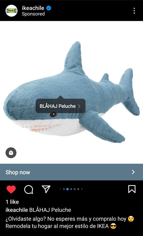 Idk What The Algorithm Is Trying To Tell Me But I Think I Already Know It Rtrans