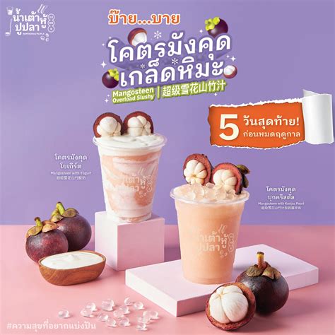 น้ำเต้าหู้ปูปลา 👋 บ๊าย บาย “โคตรมังคุด เกล็ดหิมะ” 💜