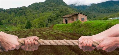 Land Grab Case Mastermind Mohammed Suhail Granted Bail Goemkarponn Goa News