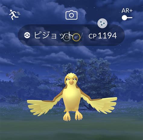 【ポケモンgo】ピジョットの色違い、 入手方法と実装状況 攻略大百科