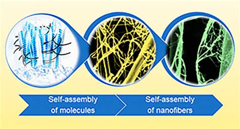 Facile In Situ Assembly Of Nanofibers Within Three Dimensional Porous Matrices With Arbitrary