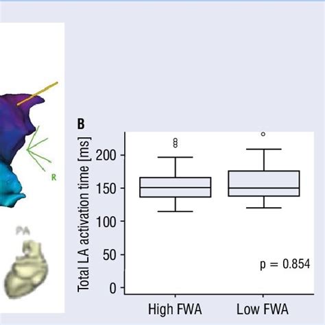 Total Left Atrial La Activation Time And Local La Conduction Velocity Download Scientific